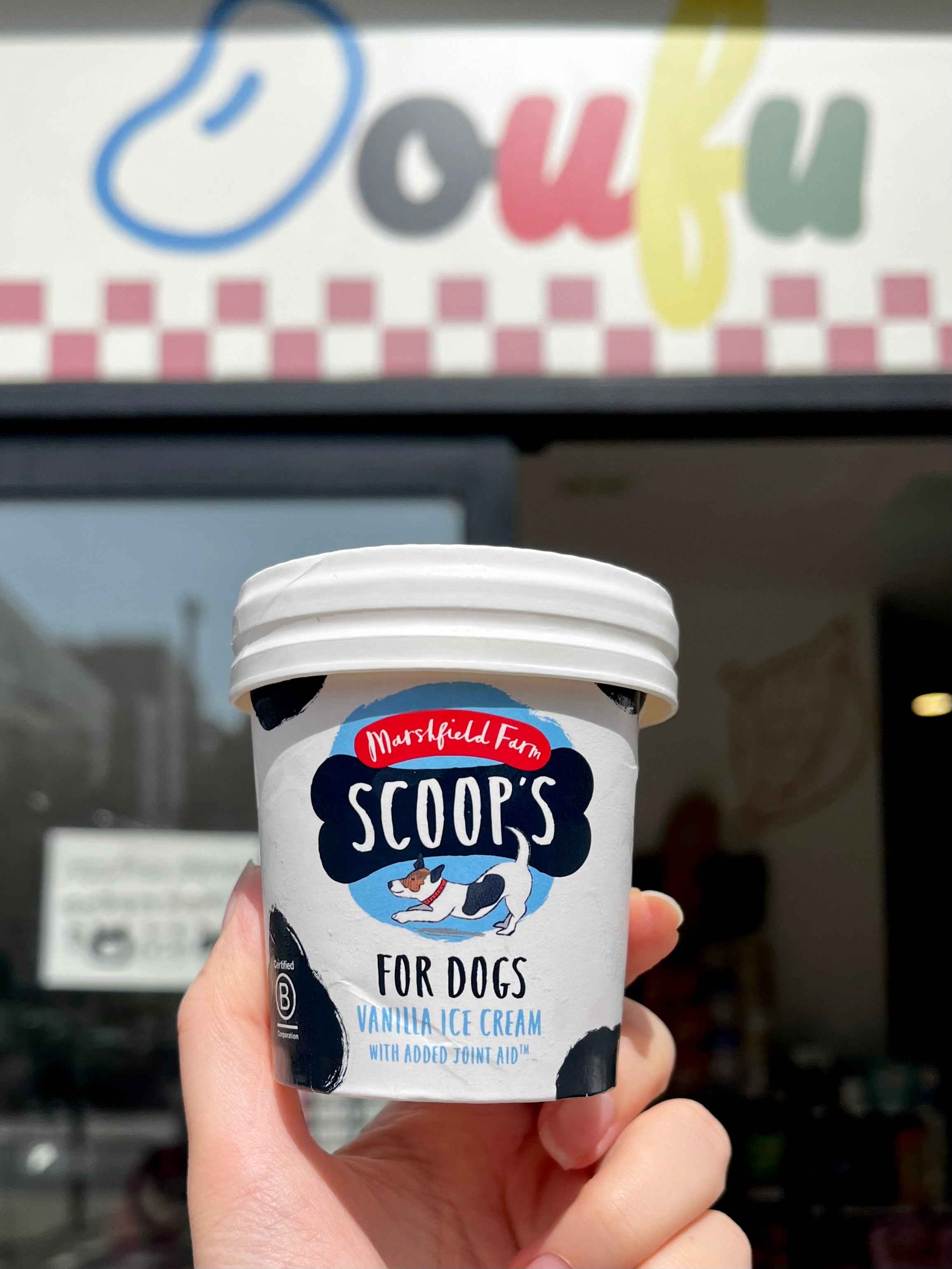 Scoop Dog Ice Cream Vanilla 小狗冰淇淋香草味 125ml – Tofu Mart Limited